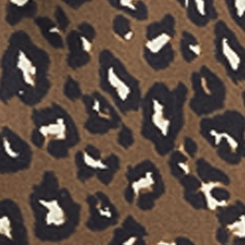 Gilded Intent Cheetah Boxer Pant - Women's Pants in Cheetah Multi | Buckle