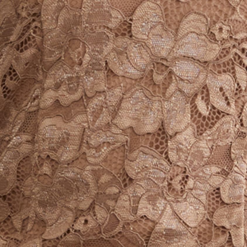 Daytrip Floral Lace Top - Women's Shirts & Blouses in Ginger Snap | Buckle