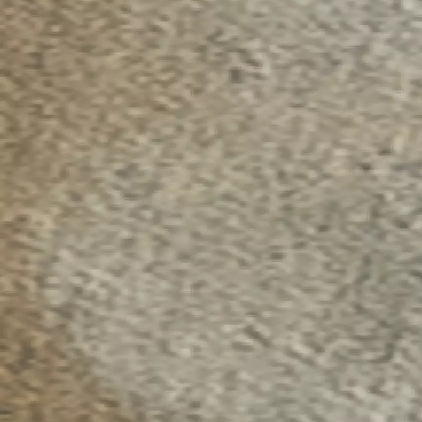 Free People Tinsley High Rise Baggy Straight Jean - Women's Jeans in ...